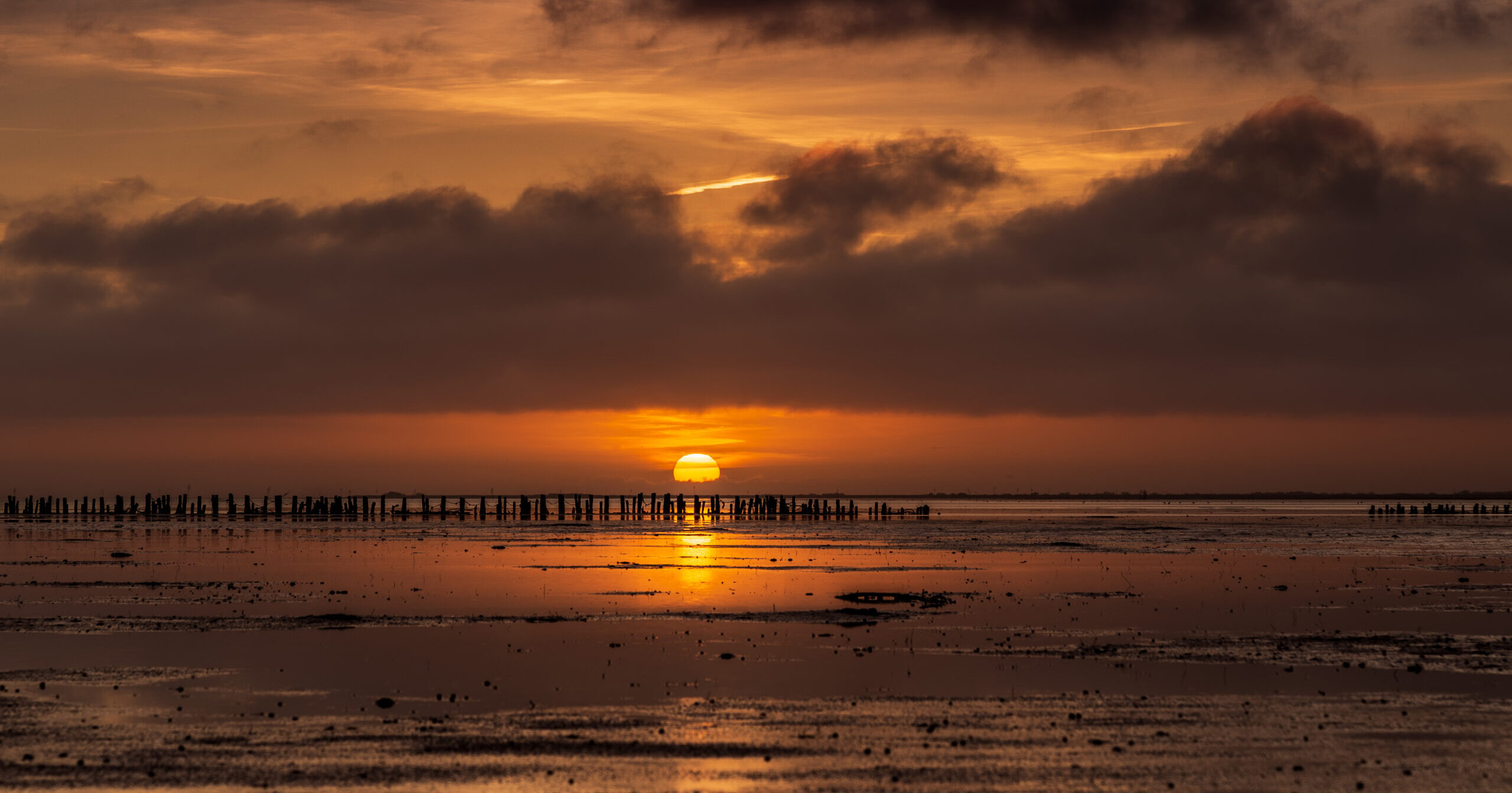 Sort Sol & marsken Galleri | Lars Roed – Vadehavet – Photosbyroed